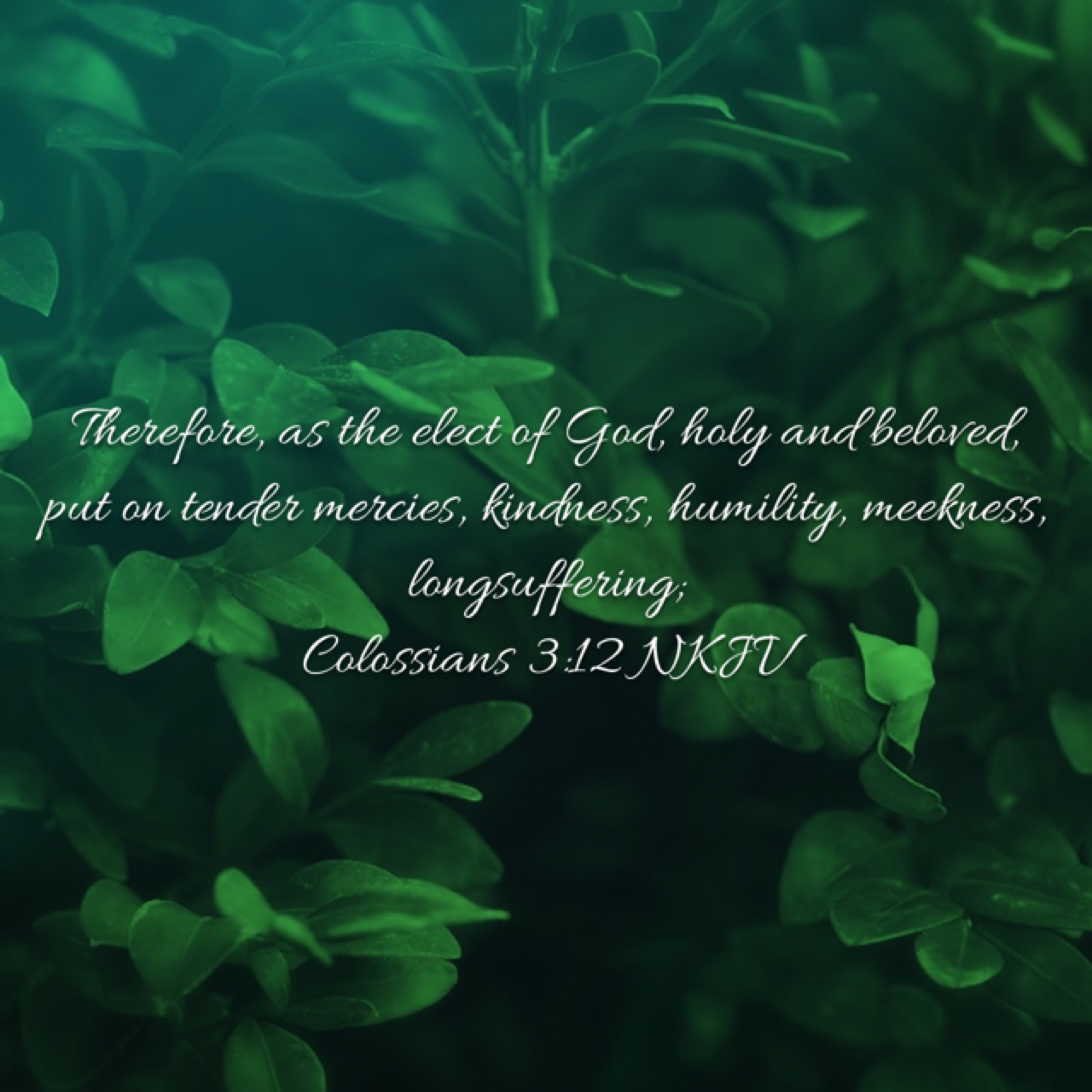 The Character of the Elect of God Reflect God’s Character – Reformation ...